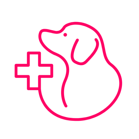 Whiskers and Wags Animal Hospital