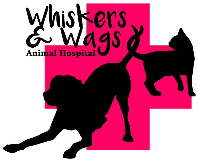 Accessibility Statement | Whiskers And Wags Animal Hospital